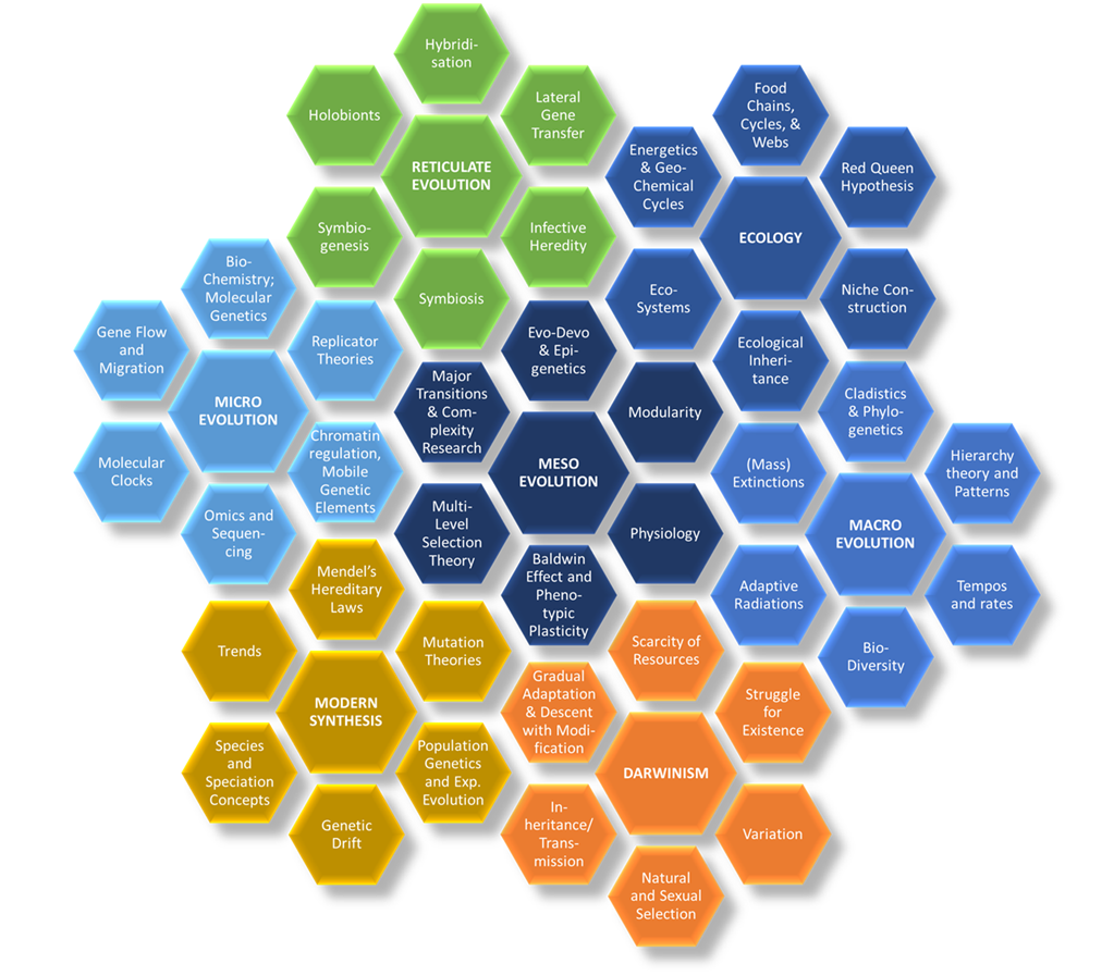 Evolving Views on the Science of Evolution by Nathalie Gontier | NAS